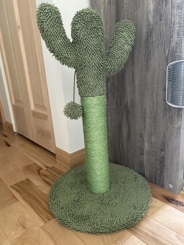 FRISCO Cactus Cat Scratching Post, 22-in - Chewy.com