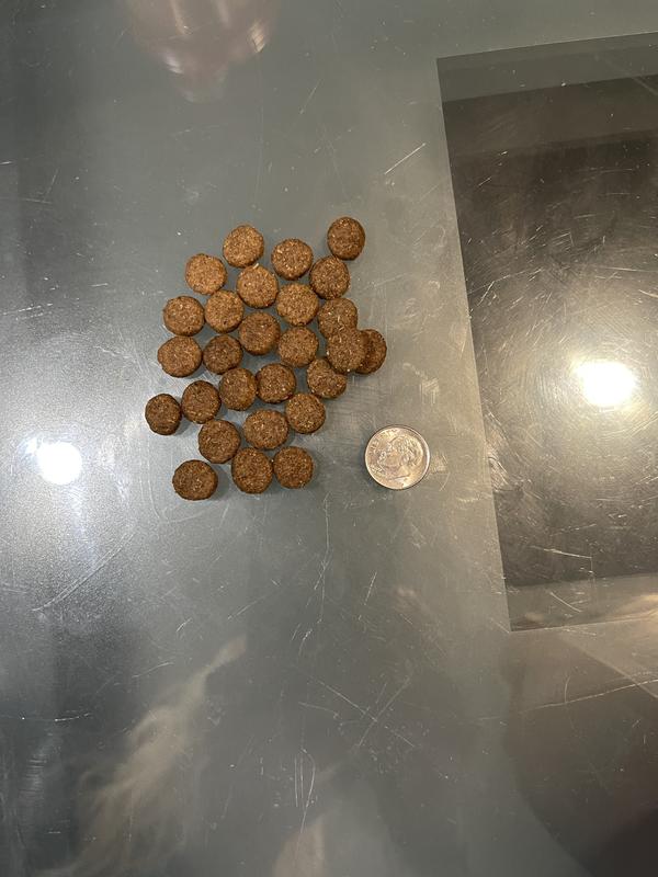 PETCUREAN SUMMIT Farmstead Feast Adult Dry Dog Food, 25-lb bag - Chewy.com