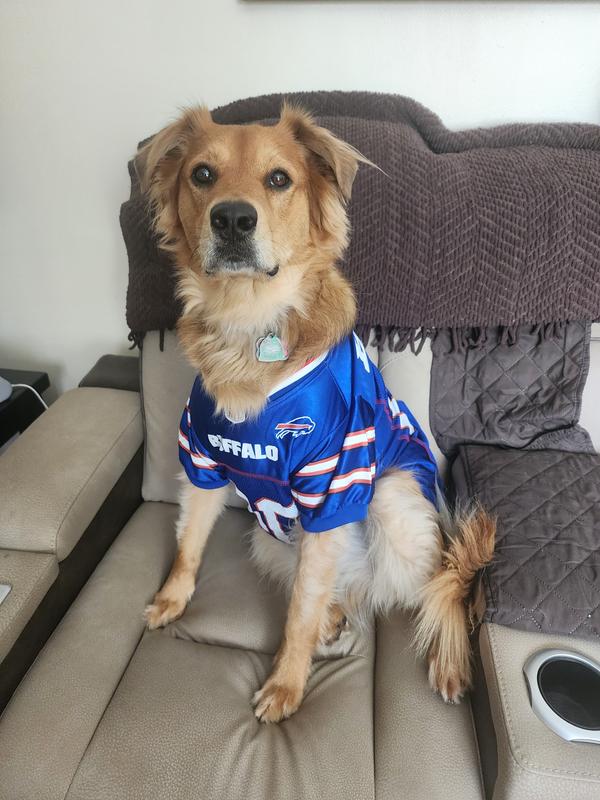 PETS FIRST NFL Dog & Cat Jersey, Buffalo Bills, X-Large - Chewy.com
