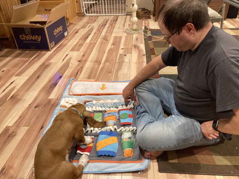 FRISCO Vending Machine Snuffle Mat, Blue, Large - Chewy.com