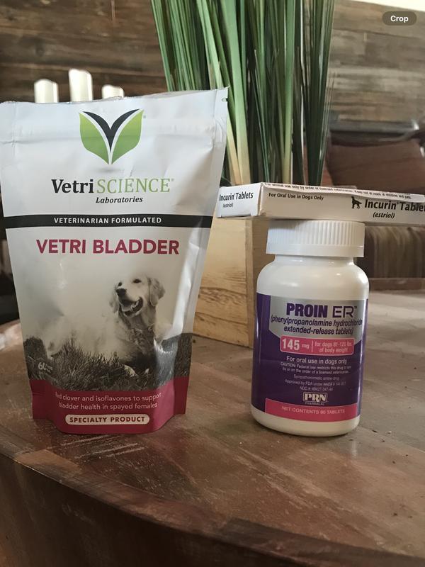 VETRISCIENCE Vetri Bladder Soft Chews Urinary Supplement for Dogs, 60 ...