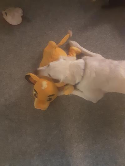 DISNEY Simba Jumbo Plush Squeaky Dog Toy - Chewy.com