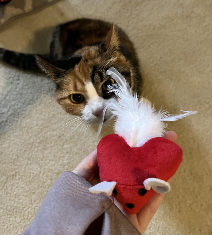Out of Stock - FRISCO Valentine Heart Mice Plush Cat Toy with Catnip, 4 ... Out of Stock - FRISCO Valentine Heart Mice Plush Cat Toy with Catnip, 4 ...