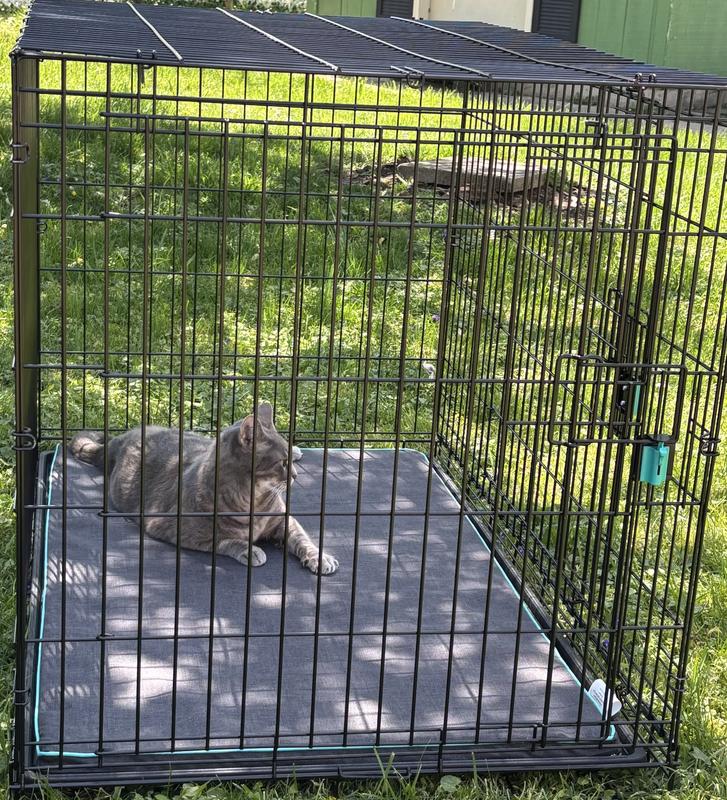 FRISCO Heavy Duty Enhanced Lock Double Door Fold & Carry Wire Dog Crate ...