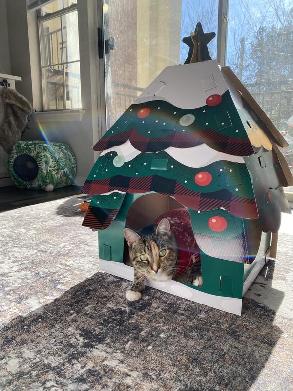 Out of Stock - FRISCO Holiday Christmas Tree Cardboard Cat House ...