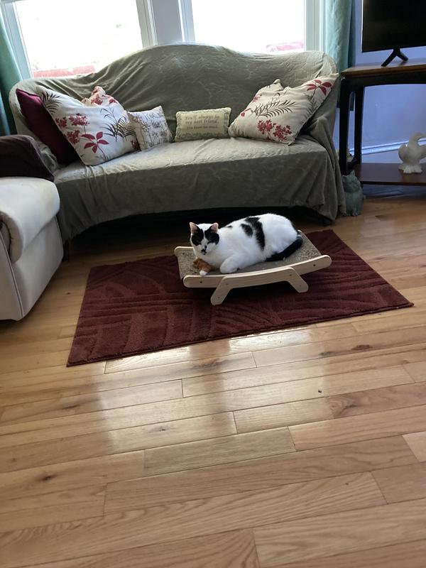 MAU Emory Cat Scratcher Refills, 2 count - Chewy.com