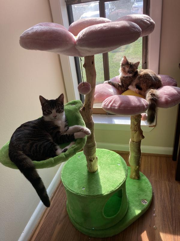 KBSPETS Floral 45-in Sisal Cat Tree, Azalea - Chewy.com
