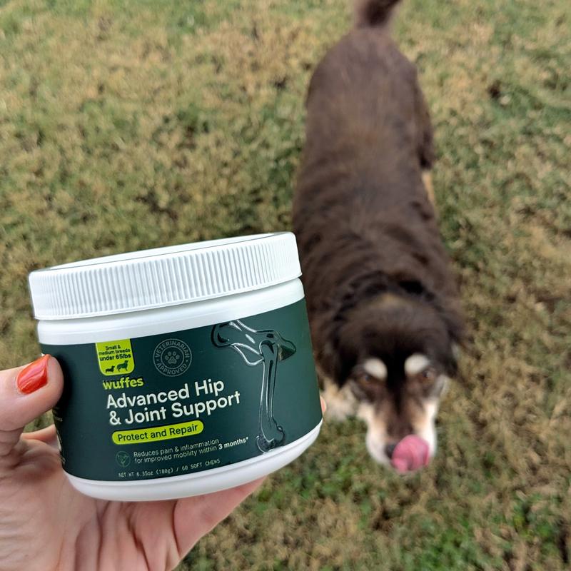 WUFFES Advanced Hip & Joint Supplement with Glucosamine & Chondroitin ...