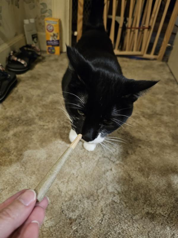 MEOWIJUANA Catnibas Meowy J's King Rolled Catnip - Chewy.com