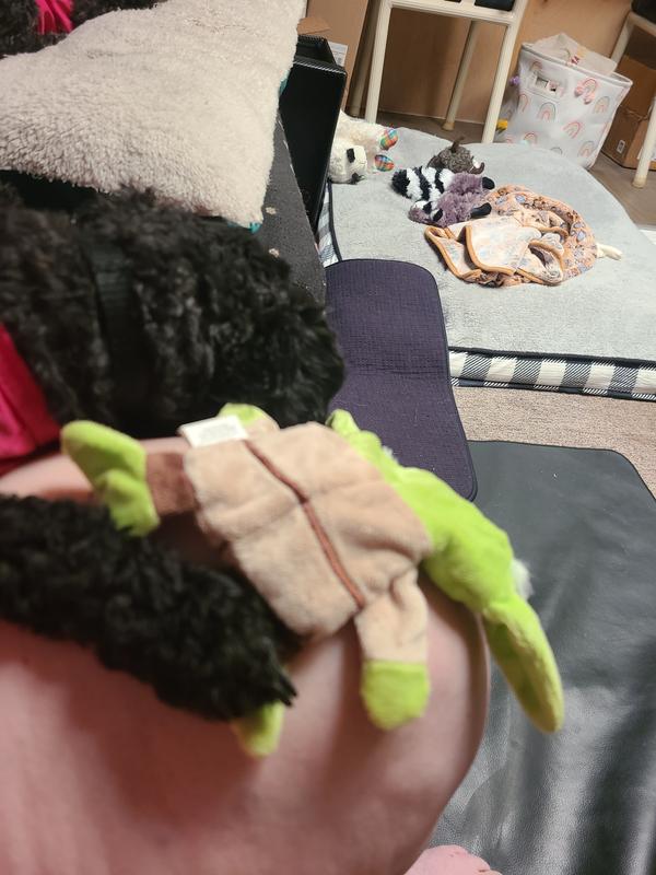 FETCH FOR PETS Star Wars Yoda Plush Flattie Dog Toy, 6-in - Chewy.com