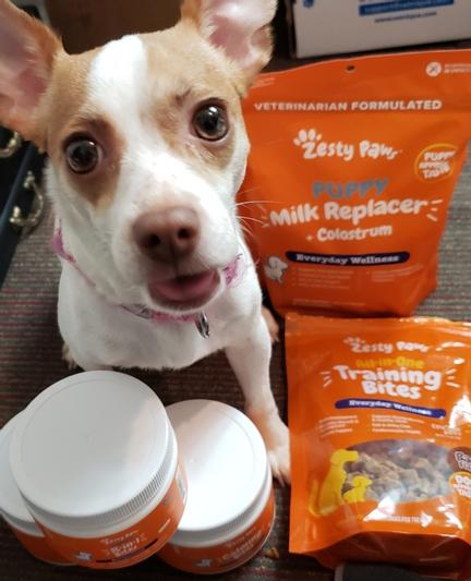 ZESTY PAWS Milk Replacement Supplement Powder for Puppies & Senior Dogs ...