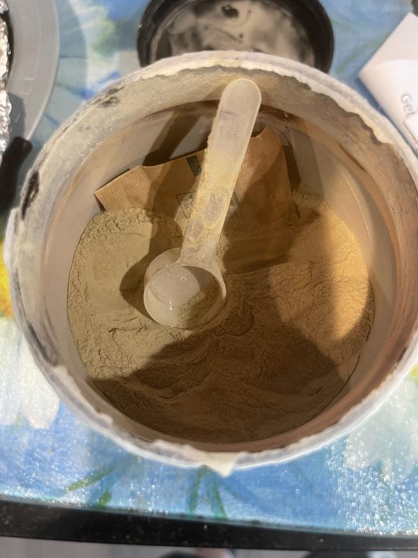 PET HONESTY Probiotics GI Pumpkin Flavored Digestive Powder for Dogs ...