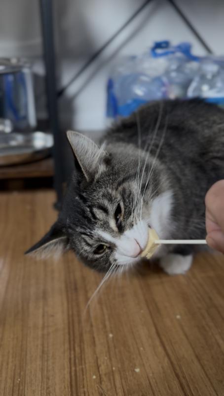 BONKERS Purr Pops Grain-Free Chicky Licks Freeze-Dried Cat Treats, 5.6 ...