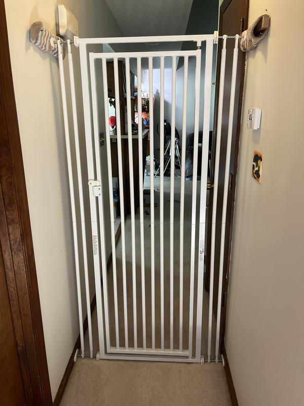 RICHELL Steel Cat Extra Tall Safety Gate, 70-in, Beige - Chewy.com