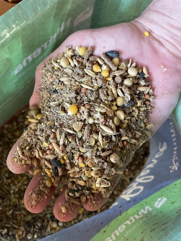 NUTRENA NatureWise Harvest Blend 18% Protein Layer Pellets Chicken Feed ...