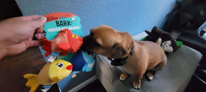 BARK The Groupers 3-in-1 Squeaky Plush Dog Toy - Chewy.com