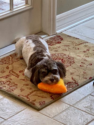 ZIPPYPAWS Emojiz Squeaky Plush Dog Toy, Pizza - Chewy.com