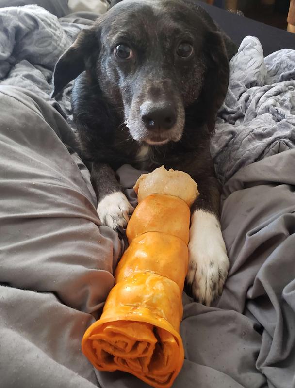 BARKWORTHIES Beef Cheek Peanut Butter Dipped Dog Bone, Large - Chewy.com