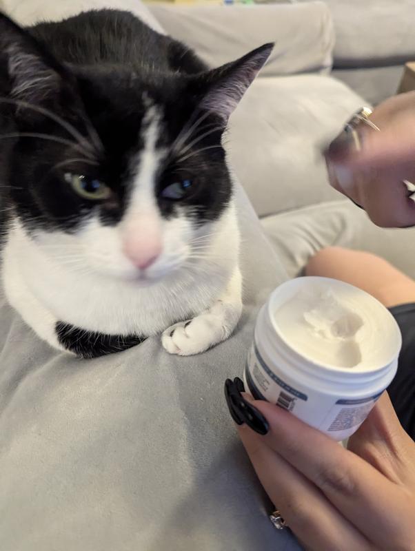 RESQ ORGANICS Cat Skin Care Balm, 8-fl oz jar - Chewy.com