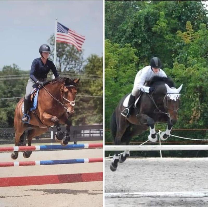 LUBRISYN HA Hyaluronic Acid Horse & Pet Joint Supplement, 1-gal - Chewy.com