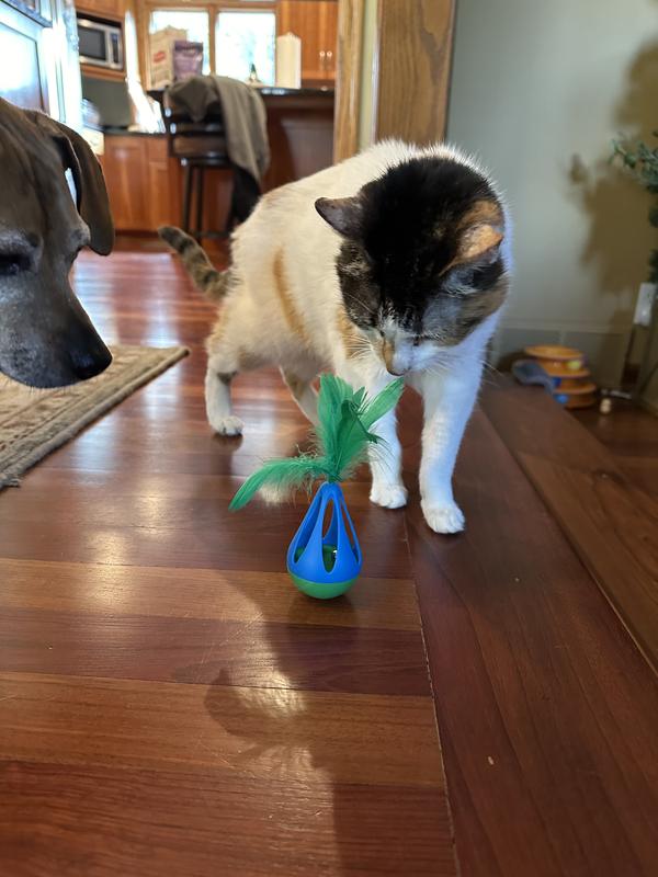 PLAYOLOGY Wobbler Feather & Bell Cat Toy - Chewy.com