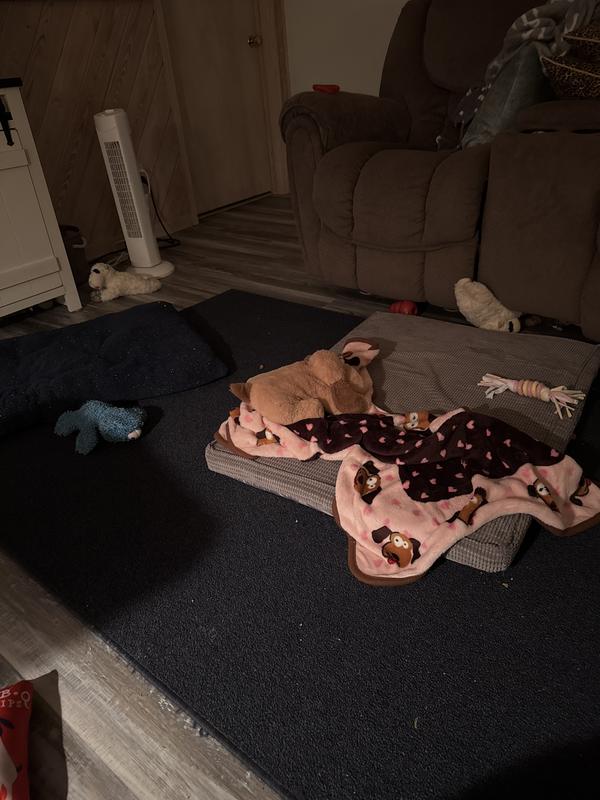 SMART PET LOVE Snuggle Puppy Comfortable Beginnings New Puppy Starter ...
