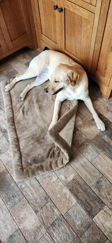 FRISCO Micro Terry Dog Crate Mat, Taupe, 36-in - Chewy.com