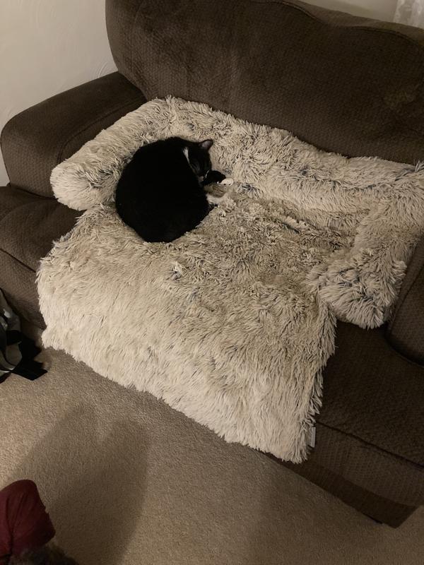 FRISCO Dog & Cat Couch Cover with Bolsters, Sand - Chewy.com