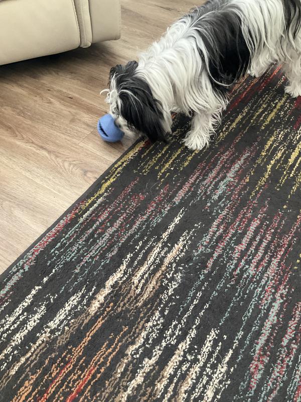 JOLLY PETS Monster Ball Dog Toy, 3.5-in - Chewy.com