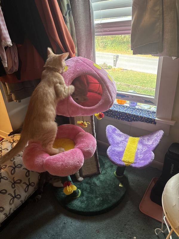 CATRY 31.1-in Mushroom Condo, Perch, Scratch Posts Cat Tree, Pink ...