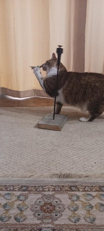 PLAYOLOGY Motorized Hummingbird/Butterfly Teaser-Wands Cat Toy ...