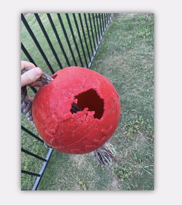 JOLLY PETS Romp-n-Roll Dog Toy, Red, 8-in - Chewy.com