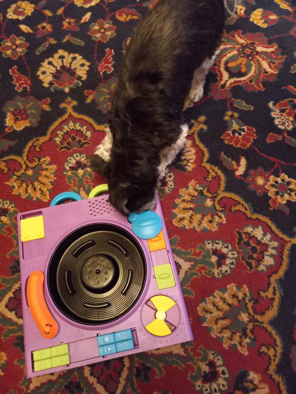 BRIGHTKINS DJ Doggo Puzzle Feeder Dog Toy - Chewy.com