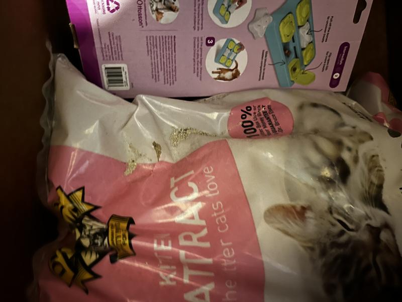 New Version Available - DR. ELSEY'S Kitten Attract Clumping Clay Cat ...