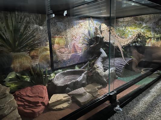 REPTI ZOO Glass Reptile Terrarium Sliding Doors with Screen Ventilation ...