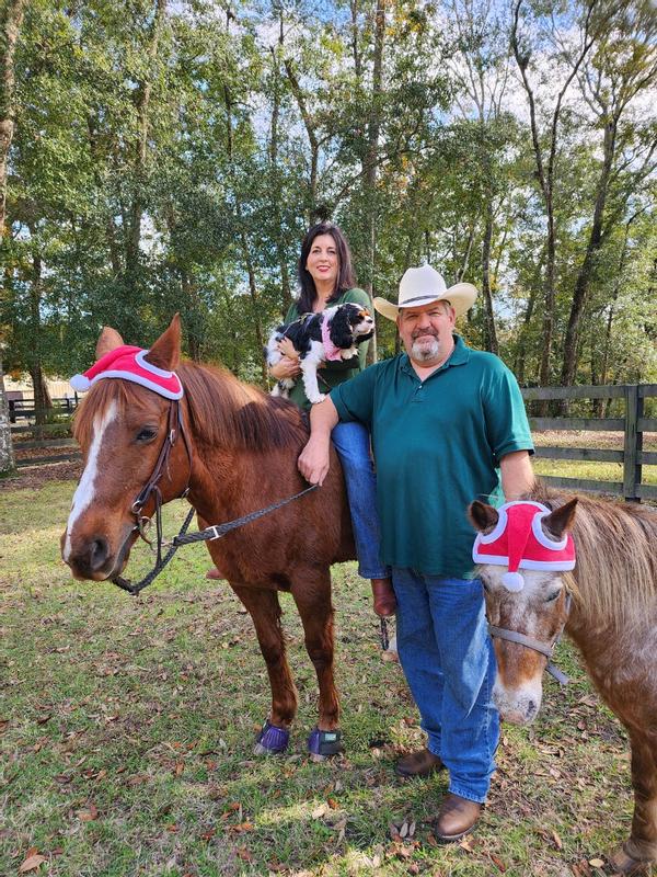 HORZE EQUESTRIAN Christmas Horse Hat - Chewy.com