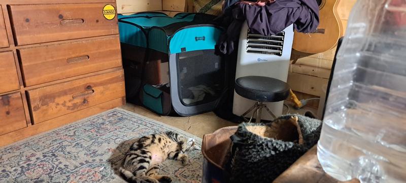 RUFF 'N RUFFUS Portable Foldable Cat & Dog Playpen, Carrying Case ...