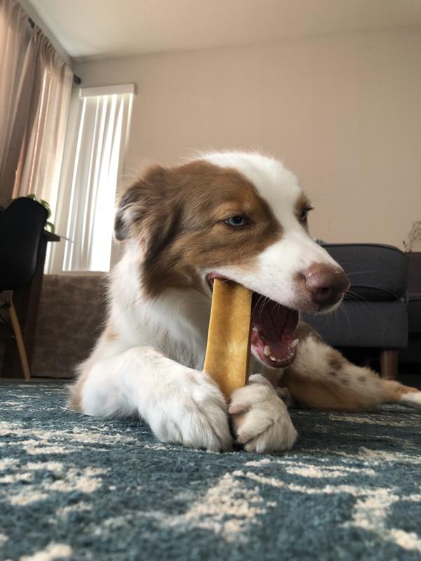 PAWSTRUCK Himalayan Monster Yak Dog Treat, 7-8-oz - Chewy.com