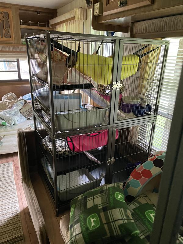 PREVUE PET PRODUCTS Feisty Ferret Home, Black Hammertone - Chewy.com