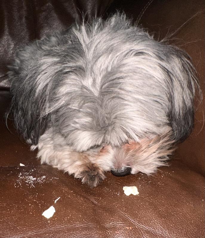 CAT-MAN-DOO Life Essentials Chicken Littles Freeze-Dried Cat & Dog ...