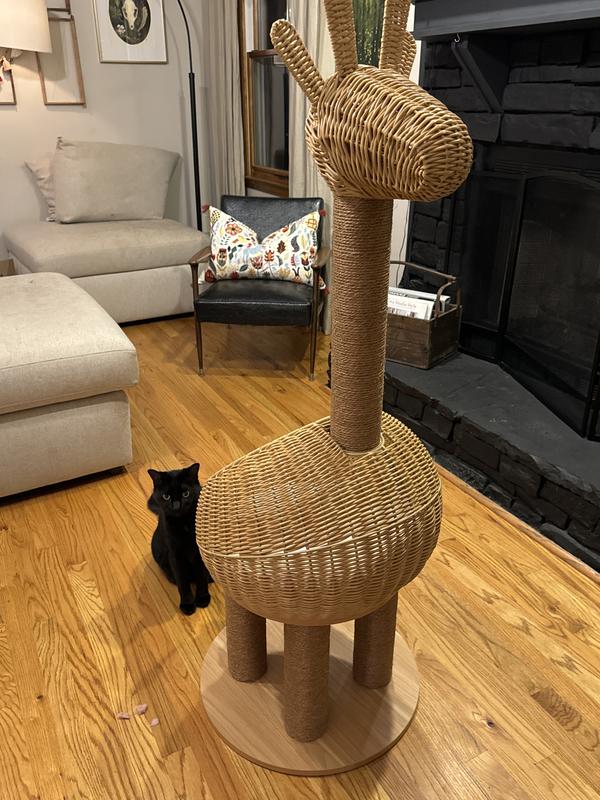 FRISCO Giraffe 51" Wicker Cat Tree & Condo - Chewy.com