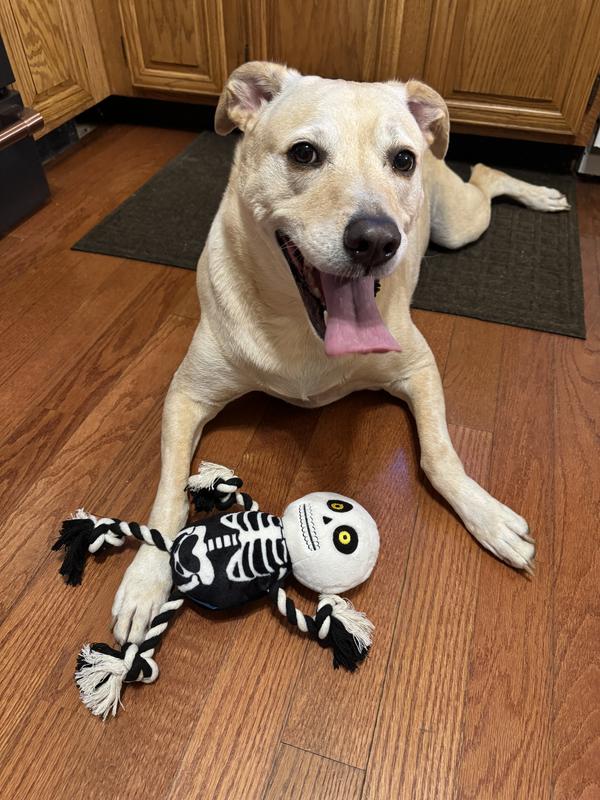 FRISCO Halloween Skeleton Plush with Rope Squeaky Dog Toy, Medium/Large ...