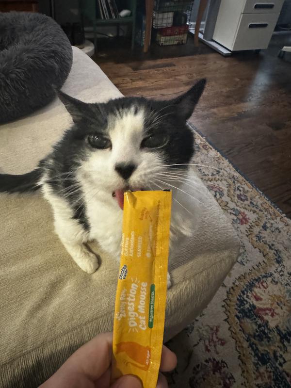 Out of Stock - ZESTY PAWS Digestion Gut Health Chicken Mousse Lickable ...