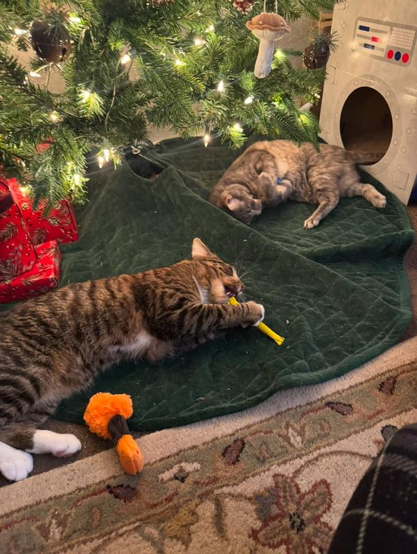 PIONEER PET Catnip Toy Nip Nibblers, 3 count - Chewy.com