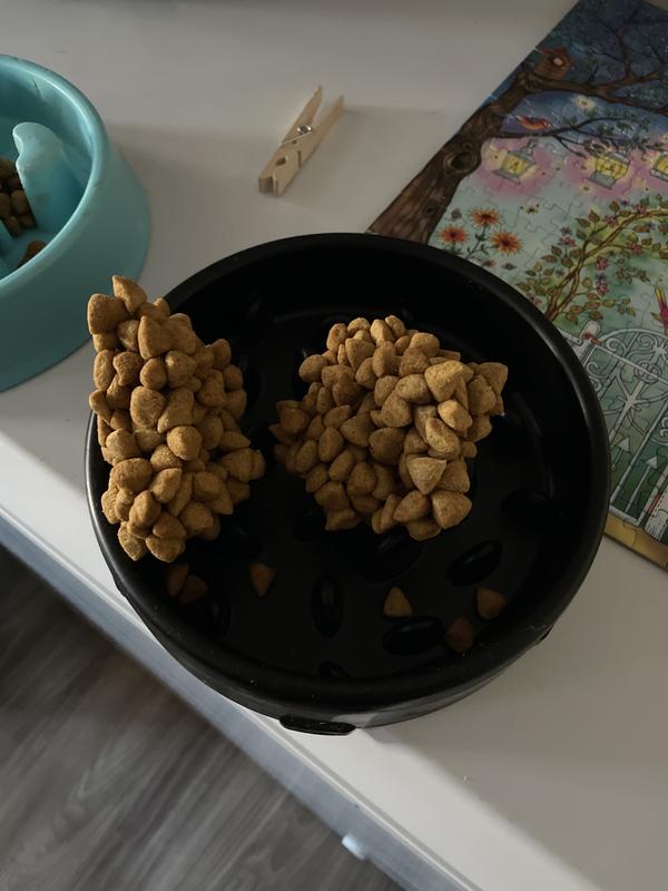 PURINA PRO PLAN VETERINARY DIETS UR Urinary Ox/St Dry Dog Food, 6-lb ...