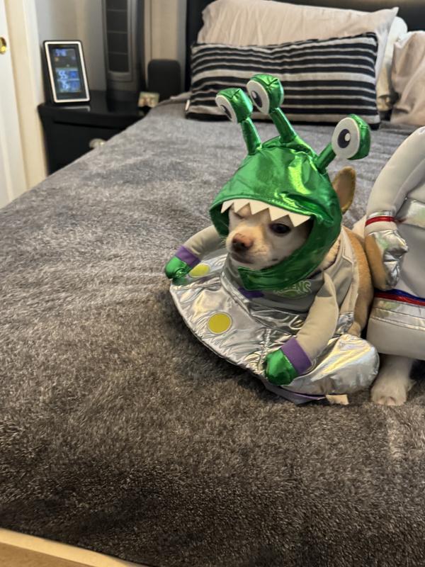 FRISCO Front Walking Alien Dog & Cat Costume, Small - Chewy.com