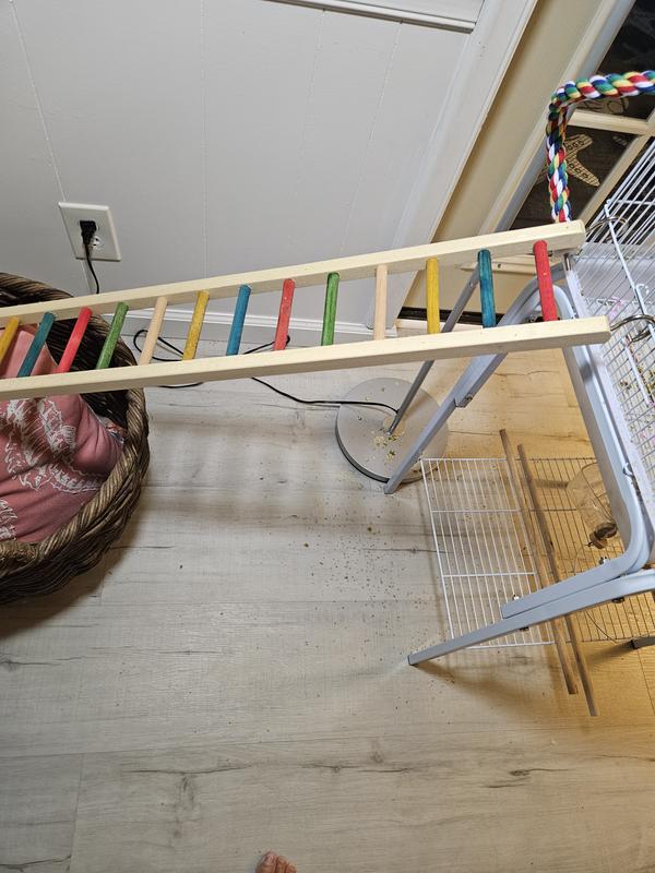 CAITEC Cockatiel Ladder, 12-in - Chewy.com