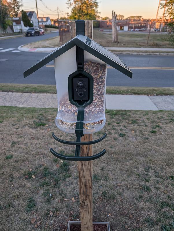 FEATHERSNAP Scout Wi-Fi Solar Powered Camera Smart Bird Feeder, Clear ...