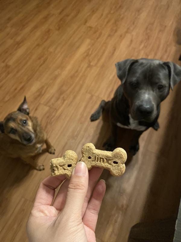 JINX Chicken & Bone Broth Biscuits Crunchy Dog Treats, 16-oz bag ...