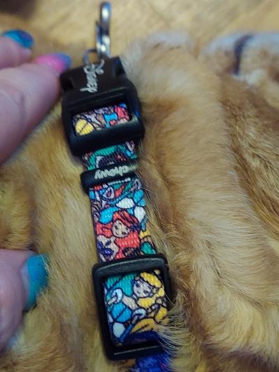 Princess Dog Collar, XS - Neck: 8 - 12-in, Width: 5/8-in - Chewy.com